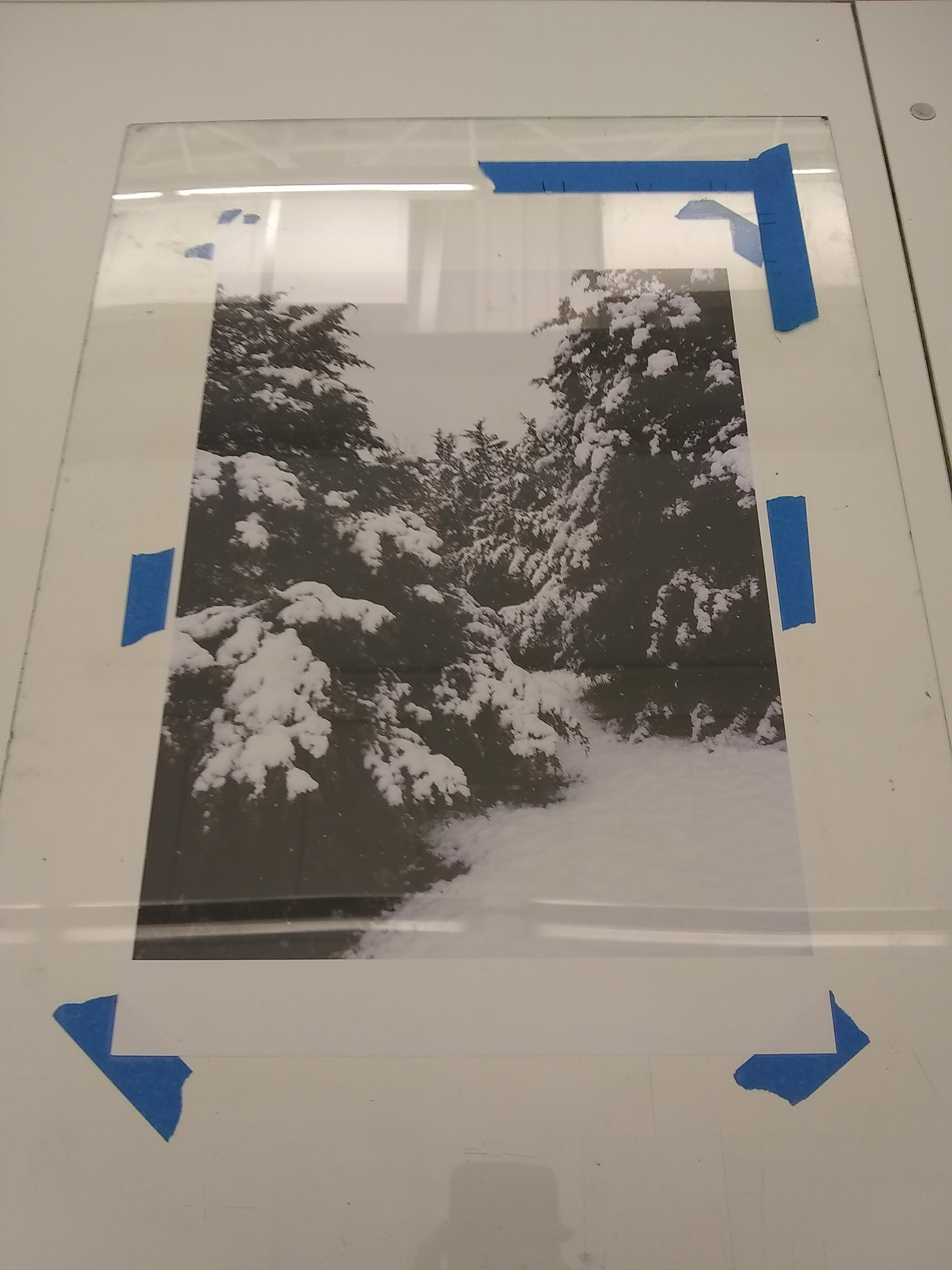 TCC’s printmaking studio is a place to explore art – The TCC Connection