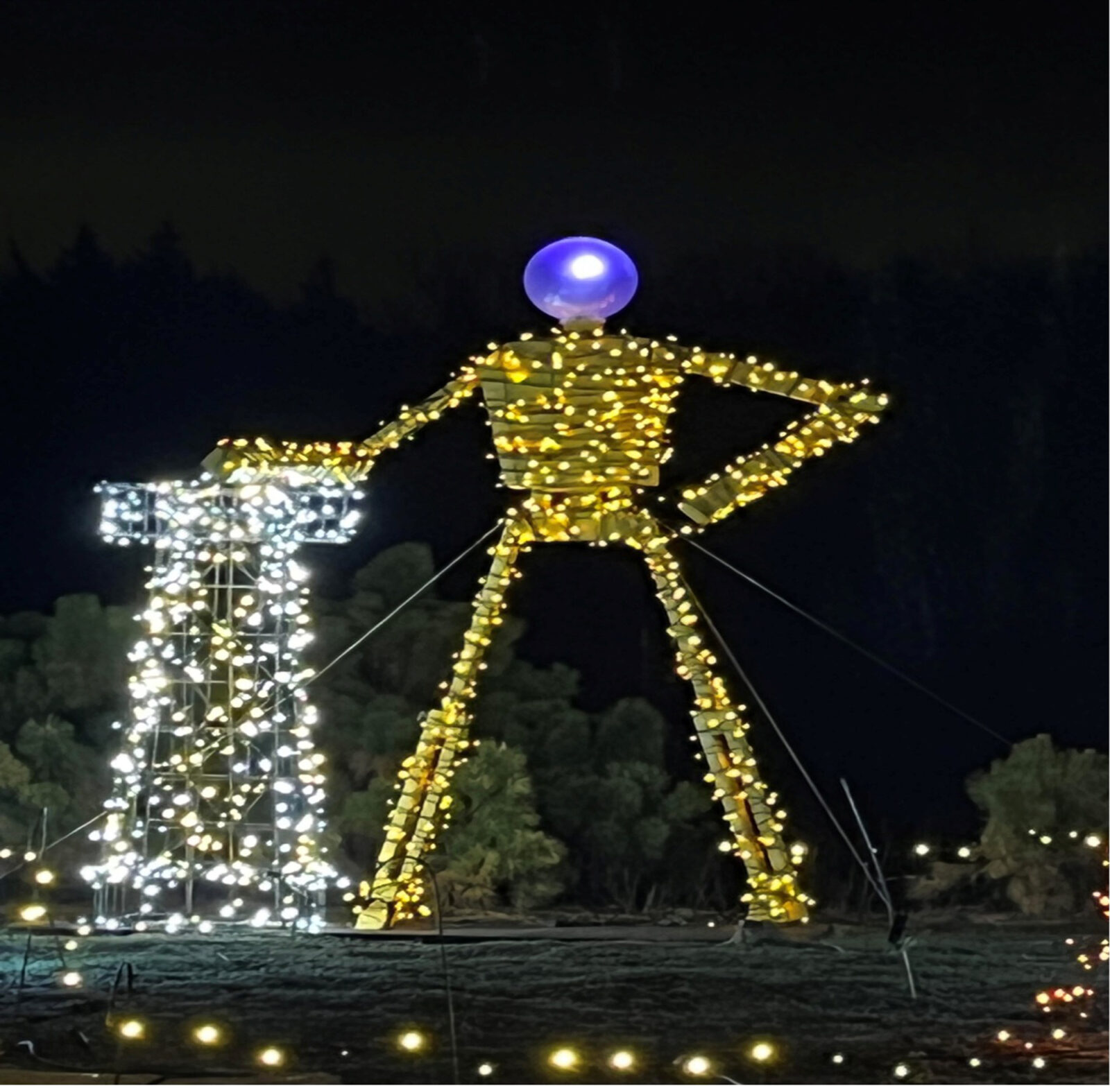 Tulsa Botanical Garden with lights spreads cheer – The TCC Connection
